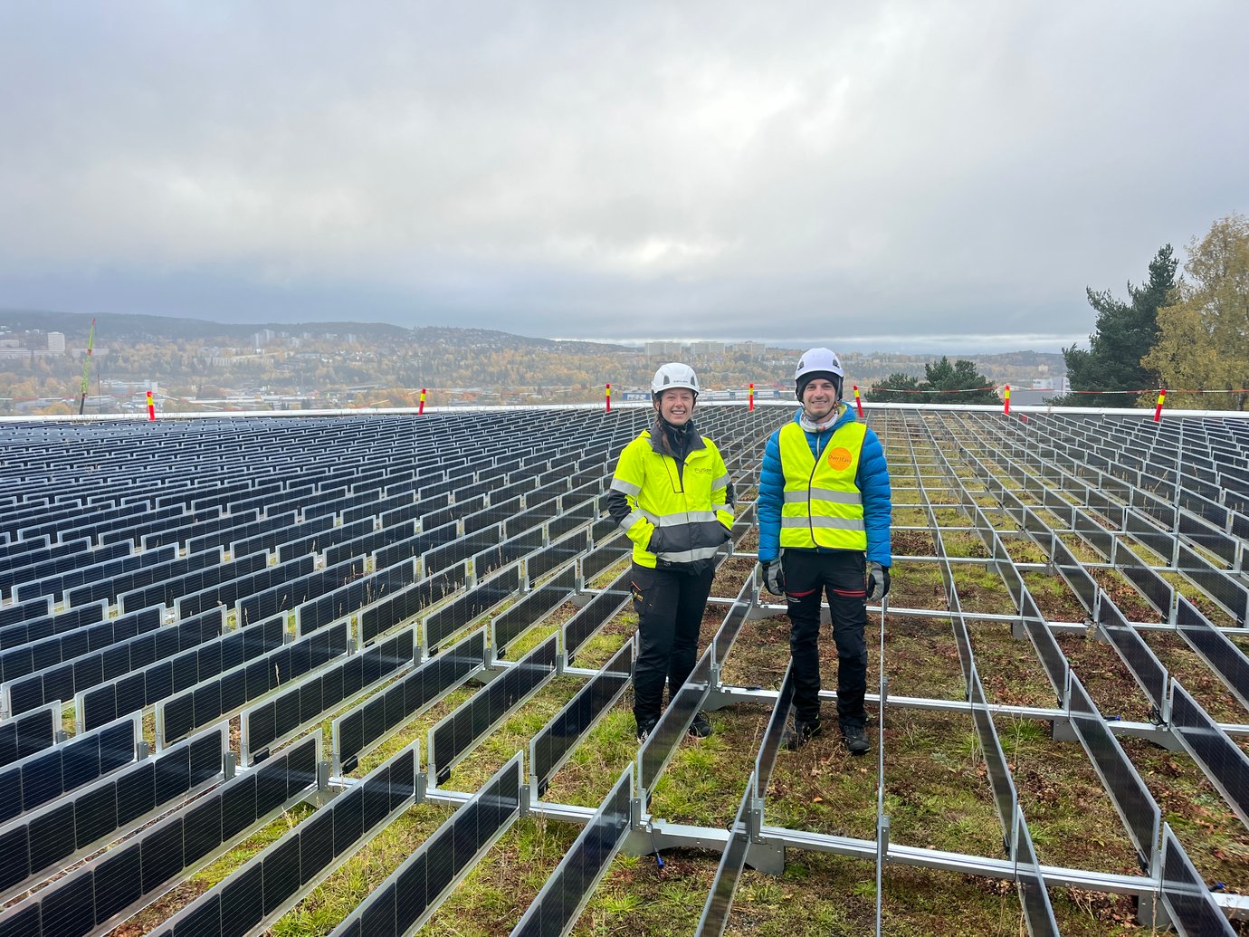 Solceller, Vannfordrøyning og Sedum - pass på dette så blir det bra