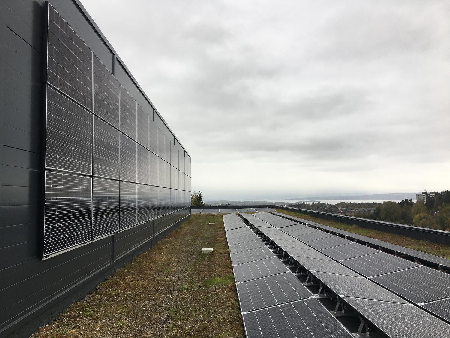 Solceller, Vannfordrøyning og Sedum - pass på dette så blir det bra